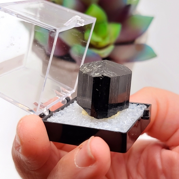 Accents | Schorl Tourmaline Crystal Mineral Thumbnail Specimen | Poshmark